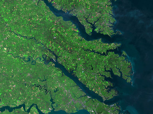 Middle Peninsula Marshes – Living Shorelines Study – Tidewater Virginia